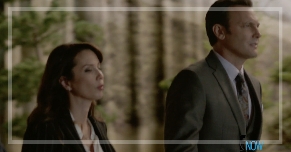 THE ARRANGEMENT | Mark Gantt